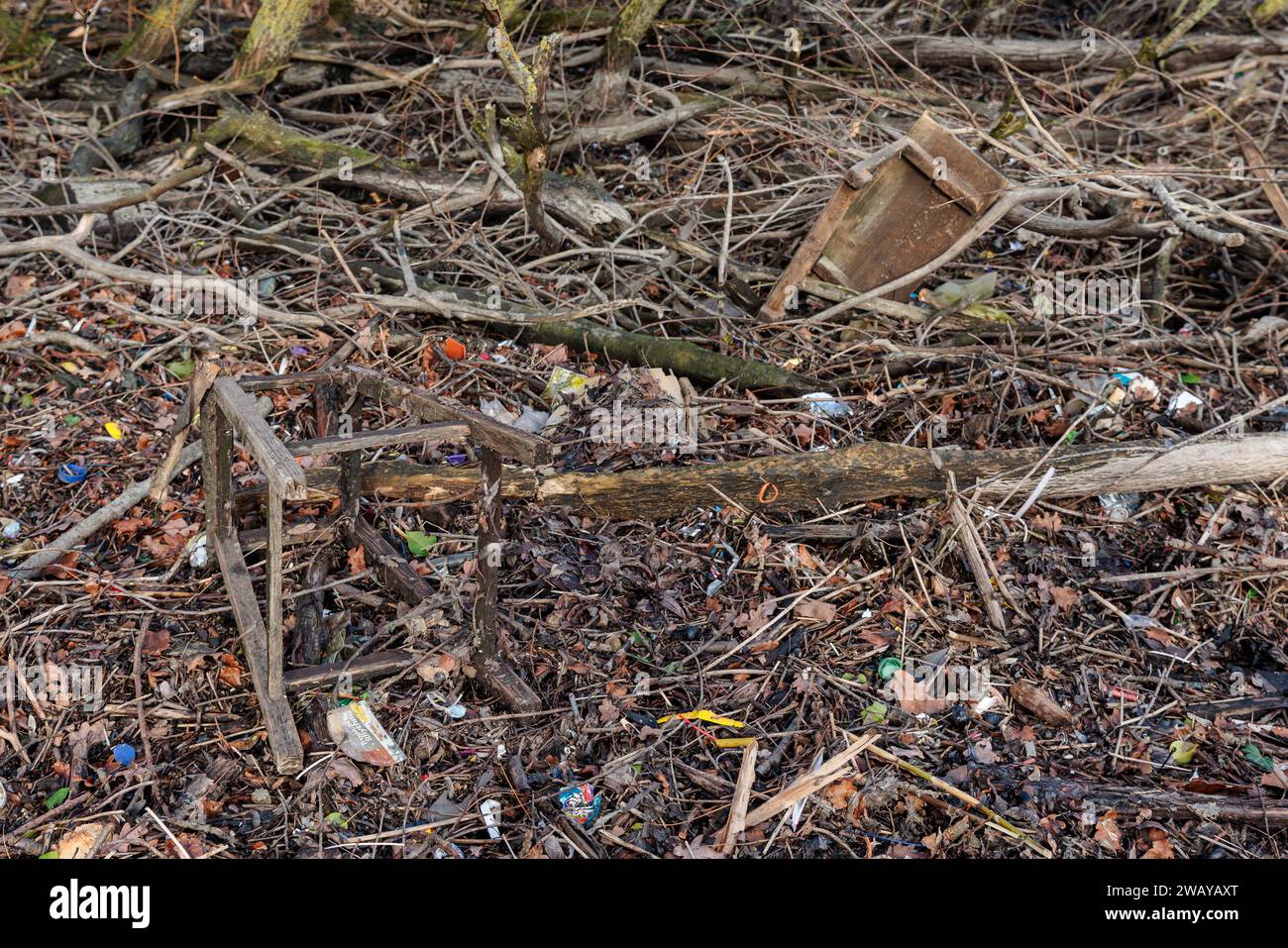 Brent Reservoir, The Welsh Harp, a Site of Special Scientific Interest ...