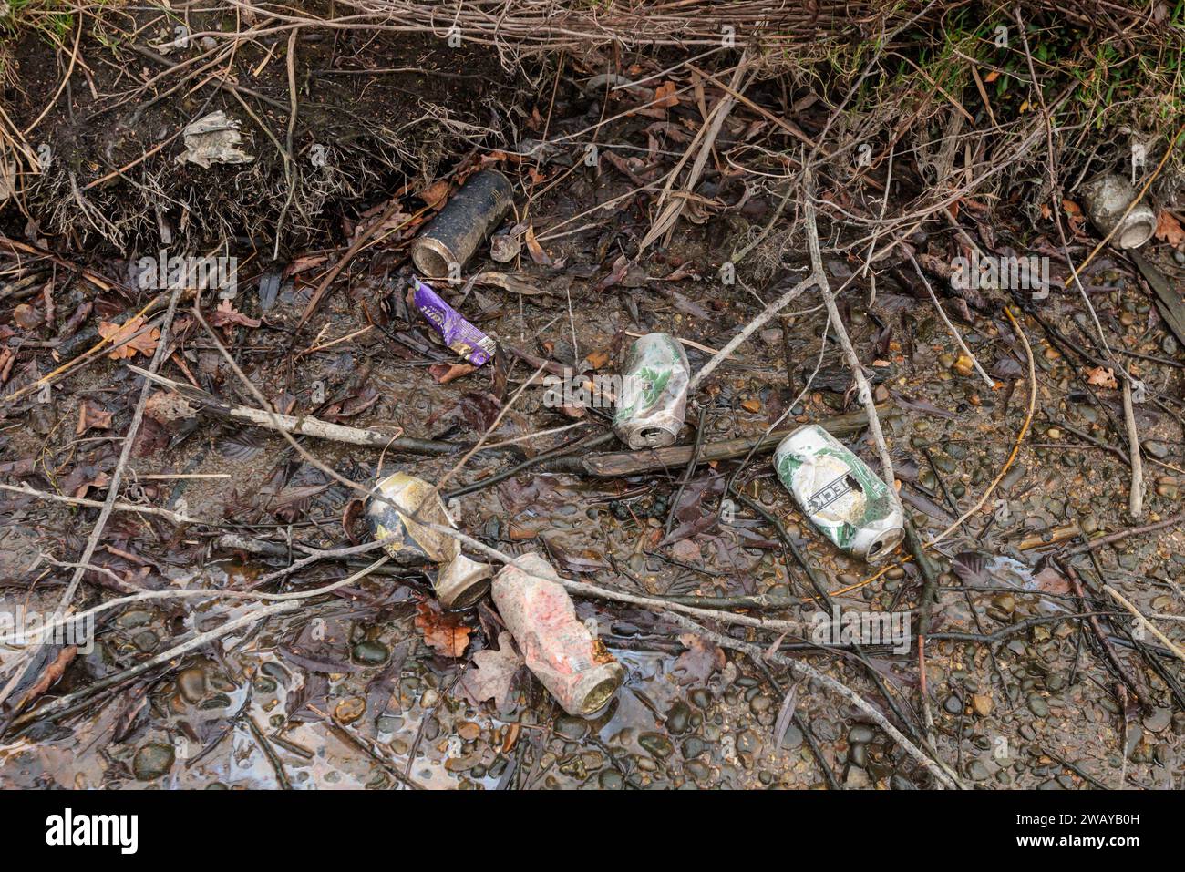 Brent Reservoir, The Welsh Harp, a Site of Special Scientific Interest ...