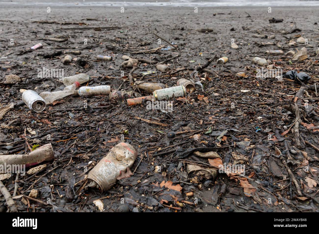 Brent Reservoir, The Welsh Harp, a Site of Special Scientific Interest ...