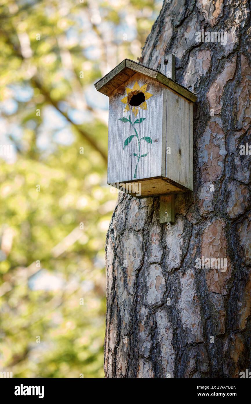 Homemade bird nesting box hangs on a tree in spring green background ...