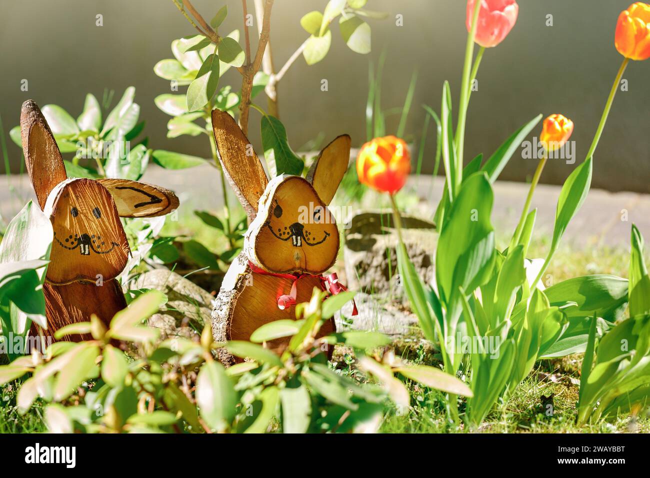 Easter bunnies in a grass garden and spring tulip flowers in sun light ...
