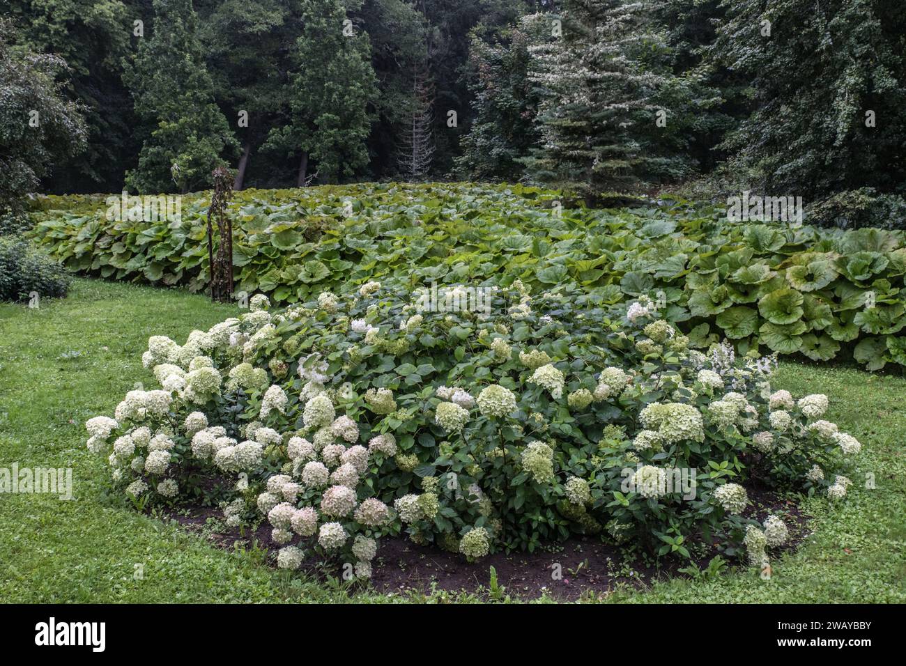 Parc du manoir - Végétation Stock Photo - Alamy