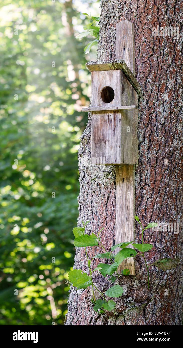 Tree house for birds. A small wooden gray nesting box on the natural ...