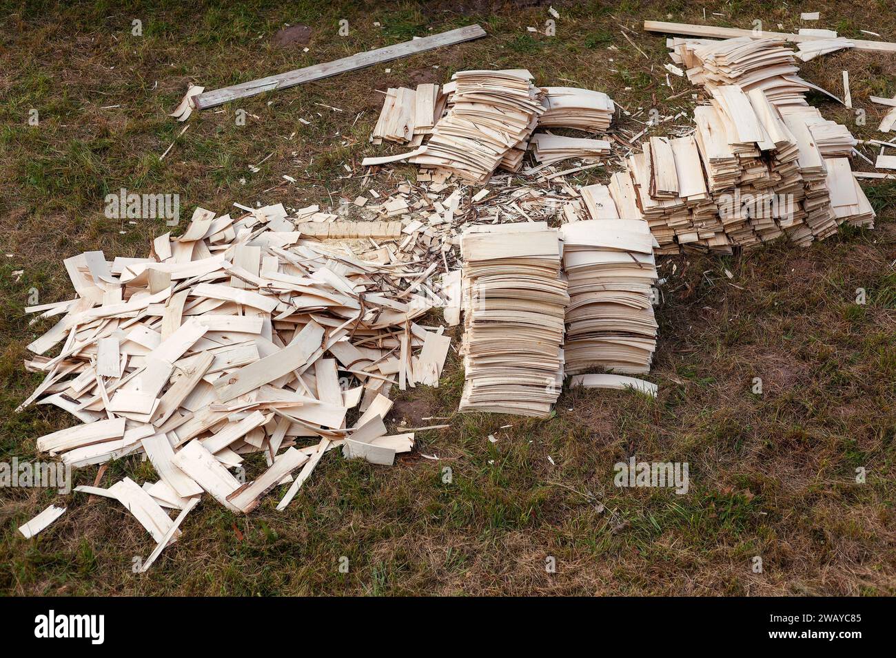 Wood chips for roofing scattered on the grass, ancient construction ...