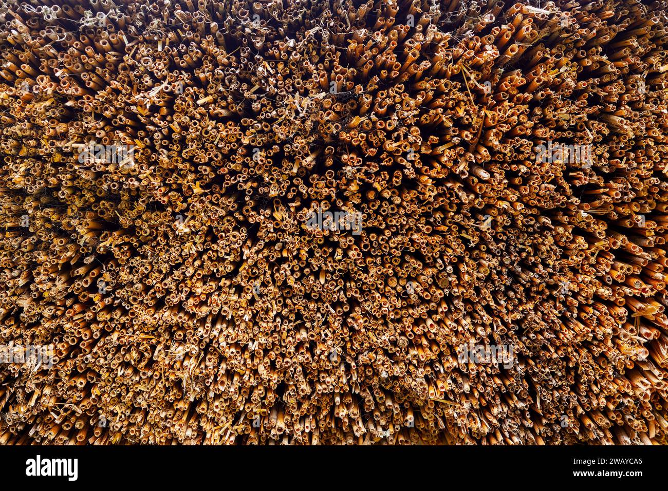 Straw Roof, old weathered thatched roof, thatch or thatching background ...