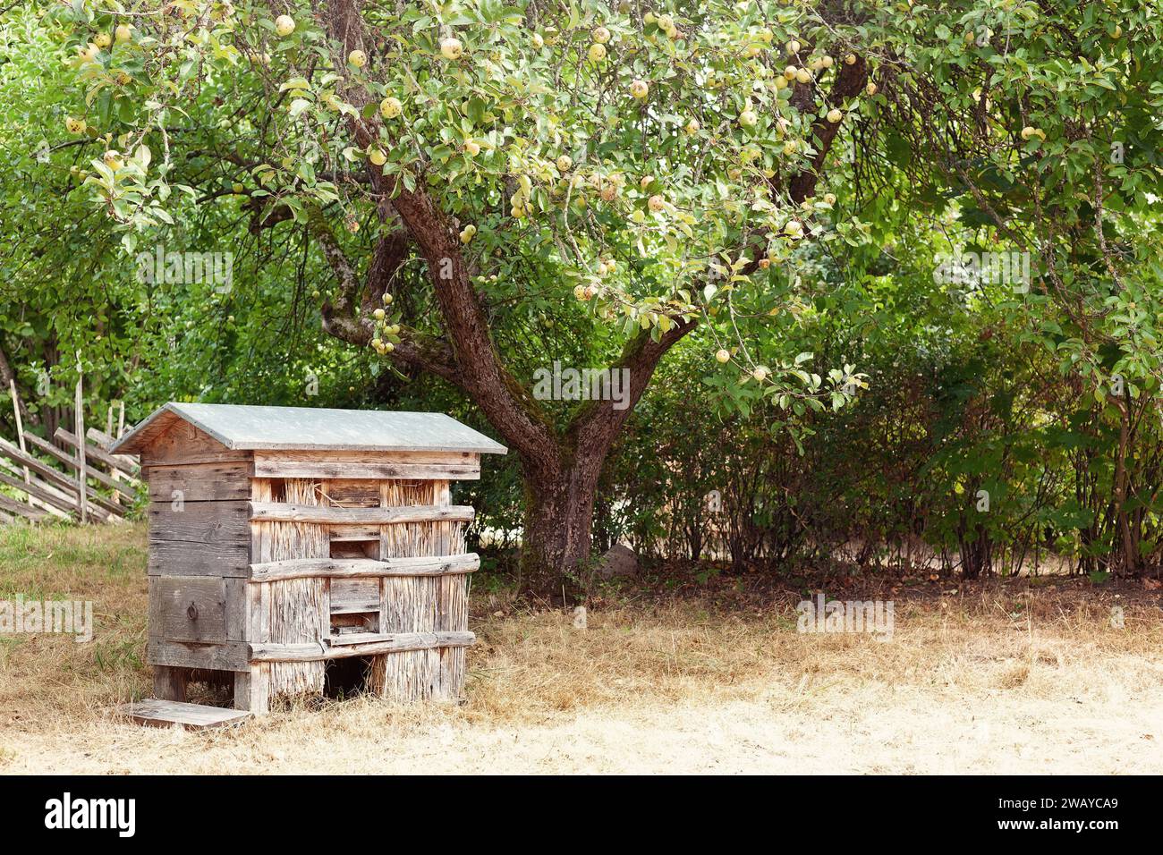 Wooden old beehive apiary in a garden on a field. Vintage bee hive for ...