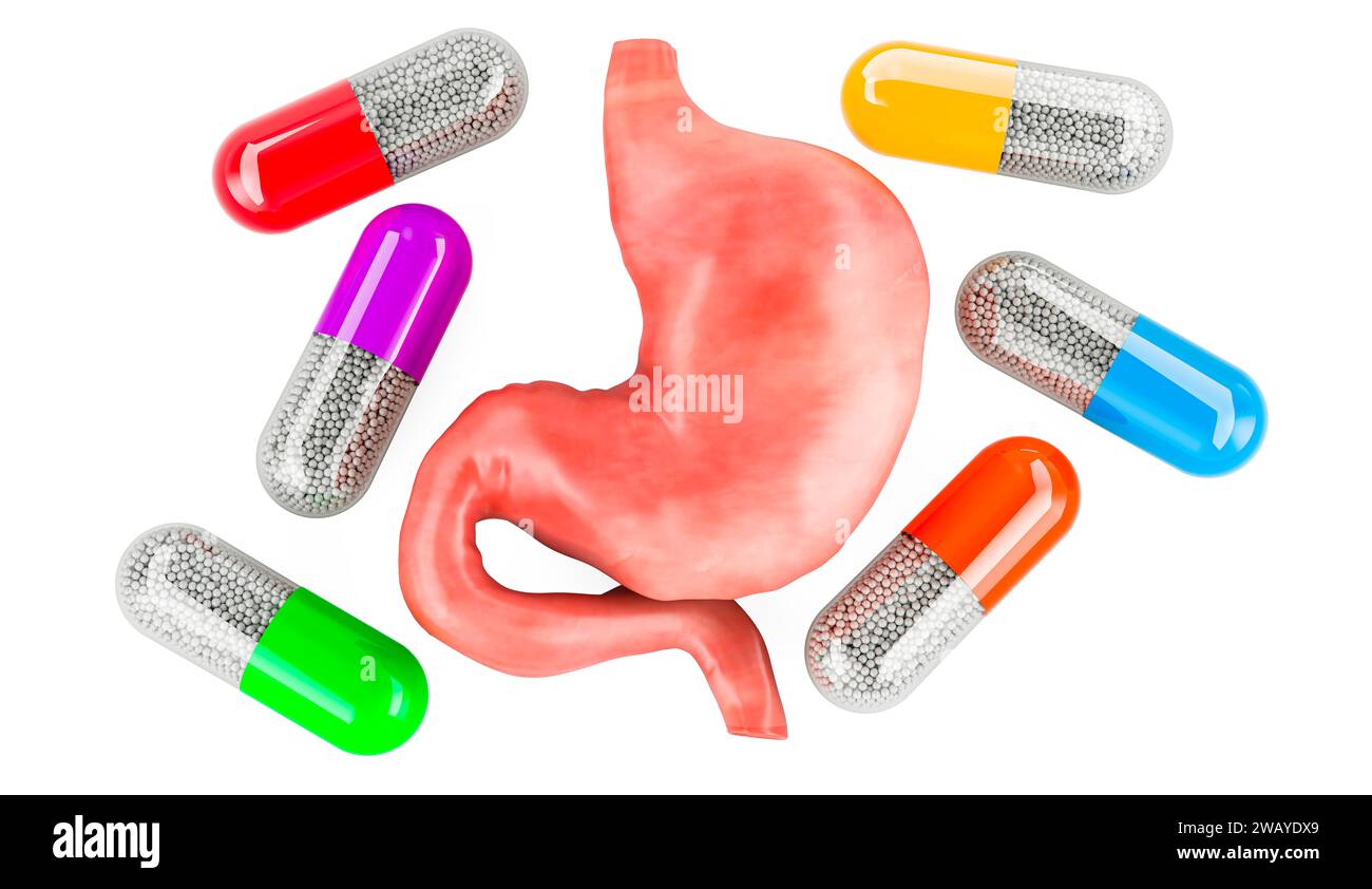 Human stomach with medicine capsules around, 3D rendering isolated on ...