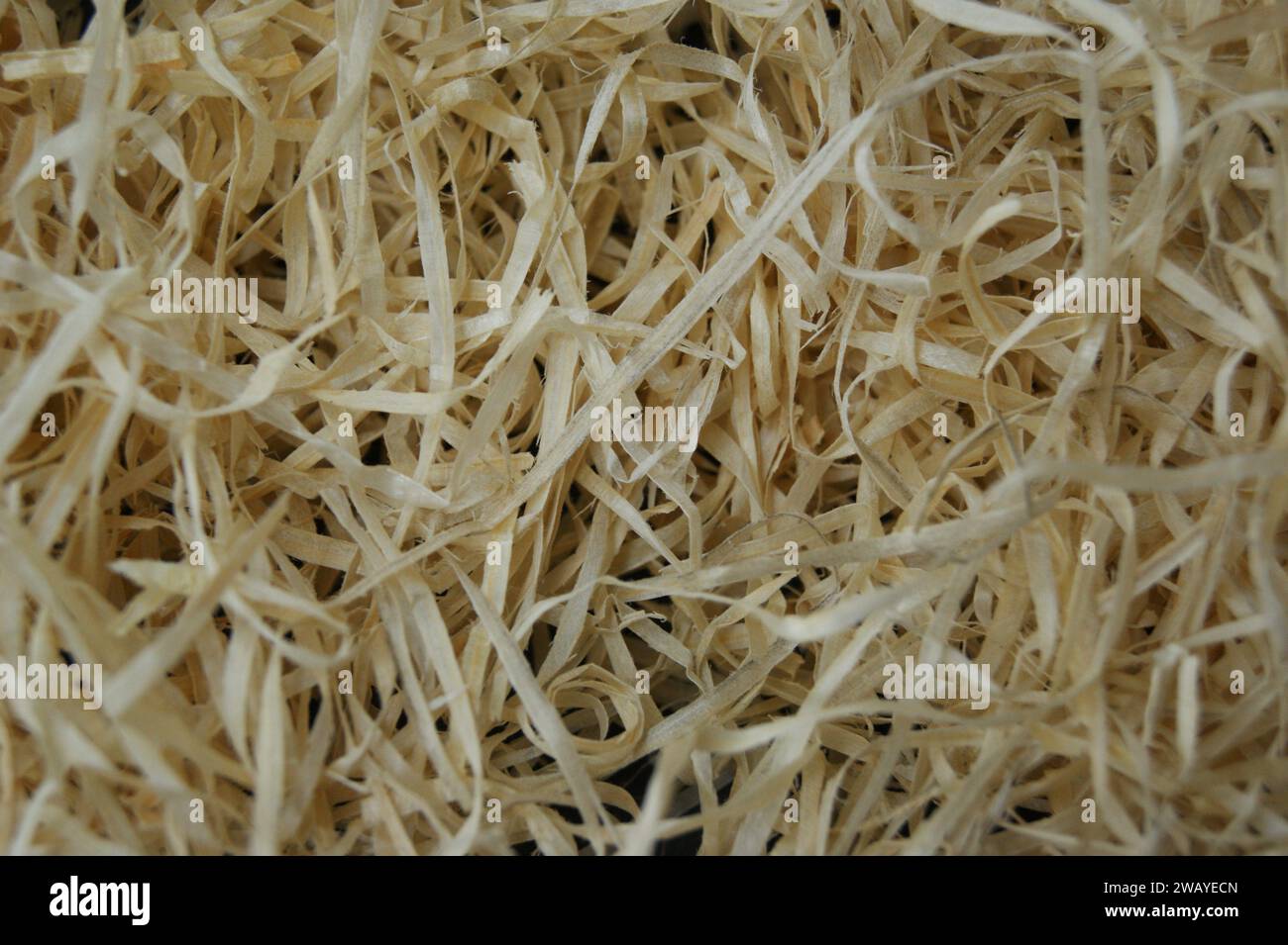 Clean wood shavings. Abstract background Stock Photo - Alamy