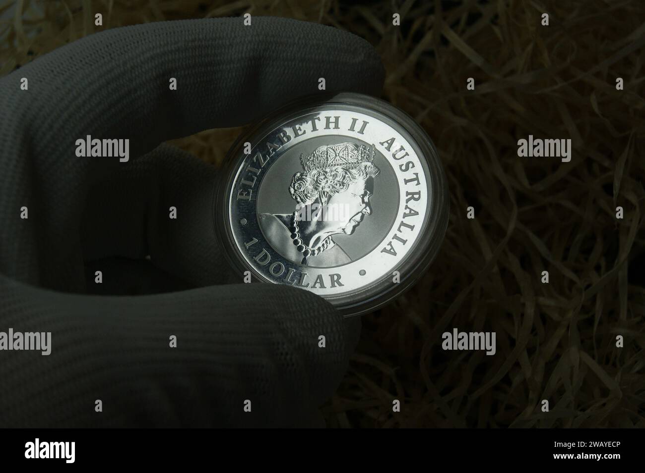 Australian silver coin in capsule 1 dollar Elizabeth II. Silver coin in ...