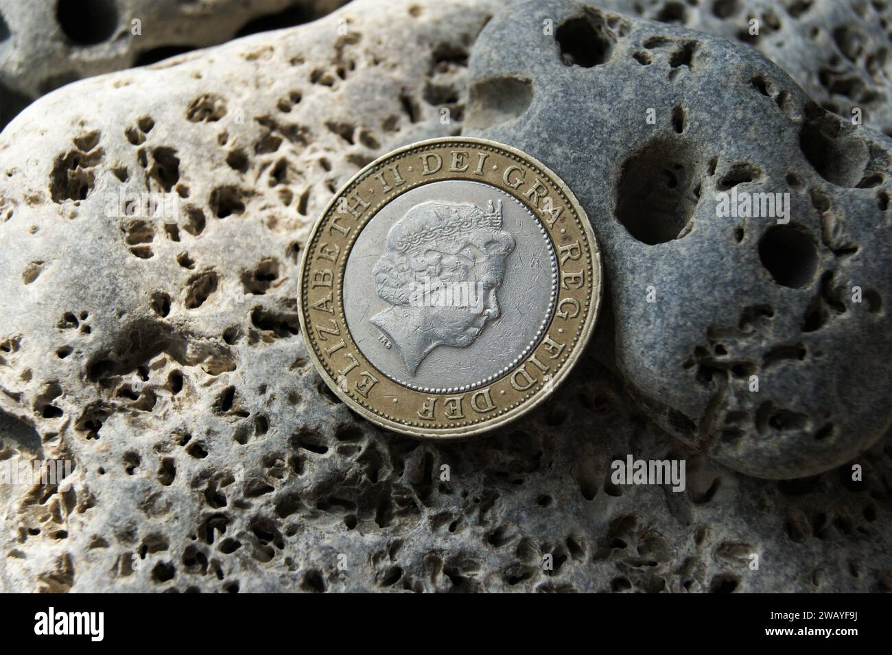 Portrait of Queen Elizabeth II on the coin. A bimetallic coin of the ...