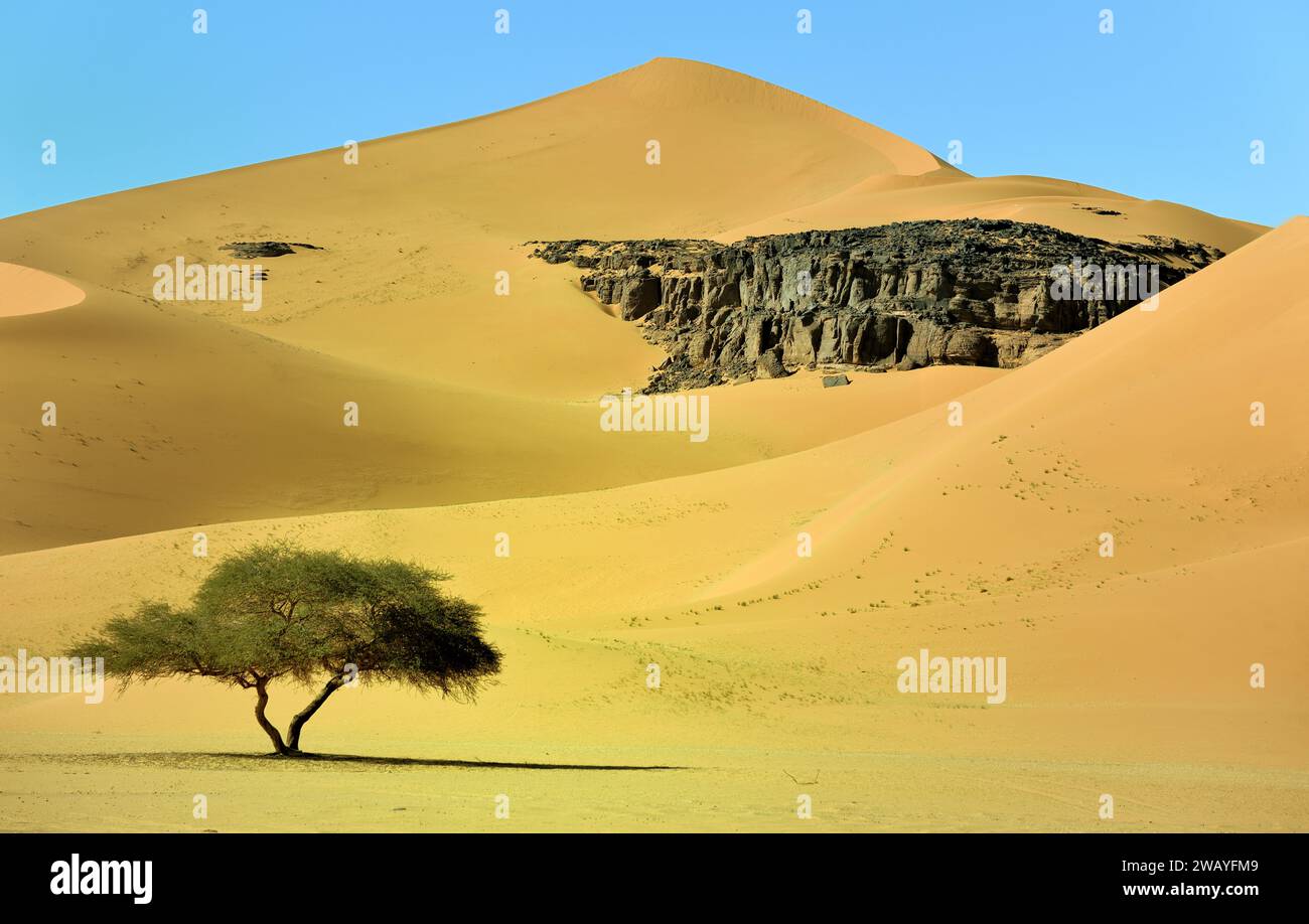 SAND DUNES IN THE SAHARA DESERT IN ALGERIA AROUND DJANET OASIS AND ...