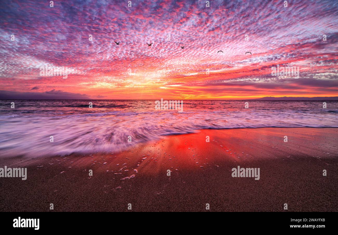 A Colorful Sunset Beach Nature Ocean Landscape With A Wave Coming To ...