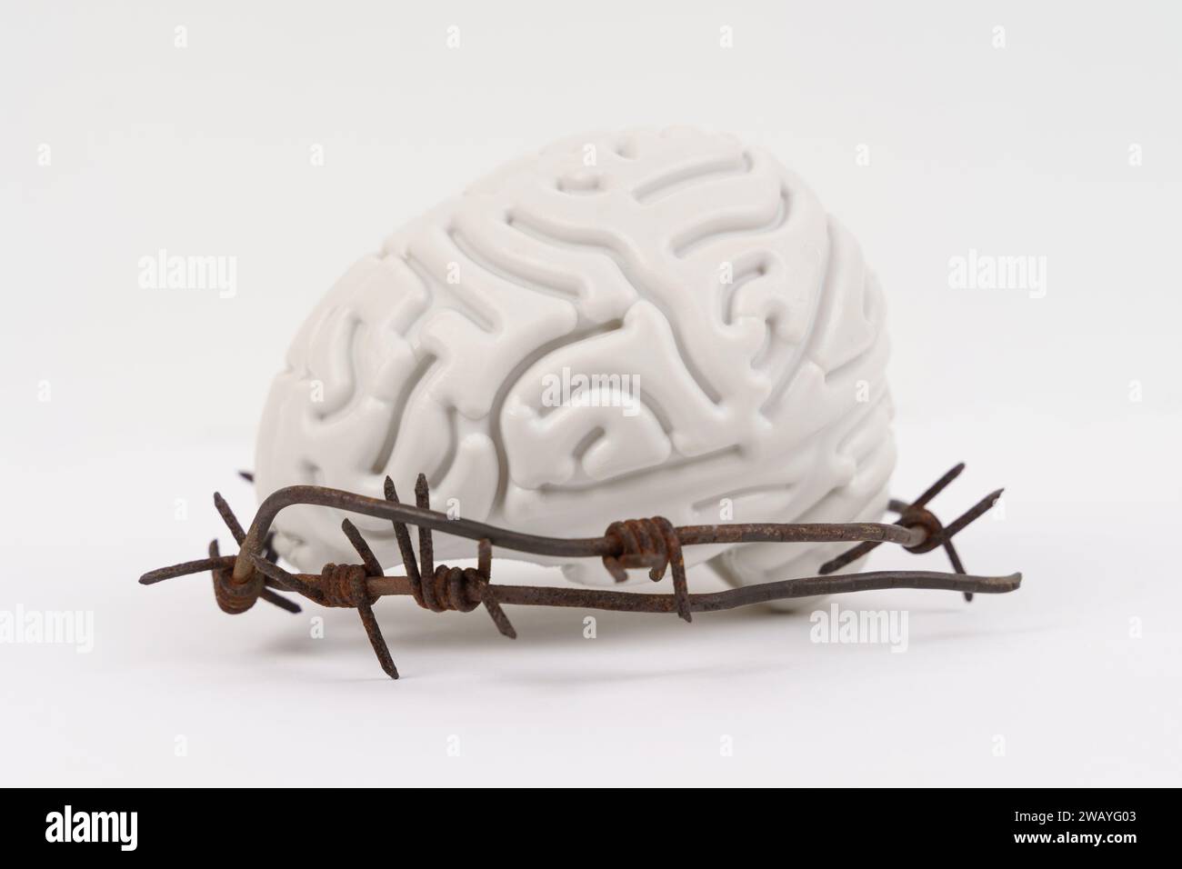 On a white background, a human brain surrounded by barbed wire. Symbol ...