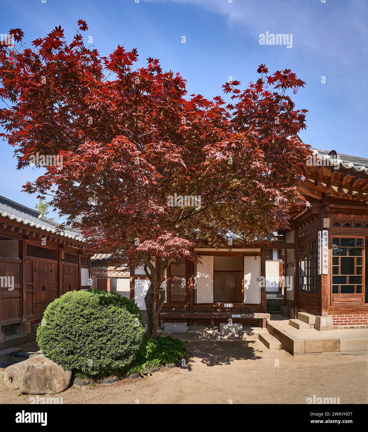 Traditional south korean tree hi-res stock photography and images - Alamy