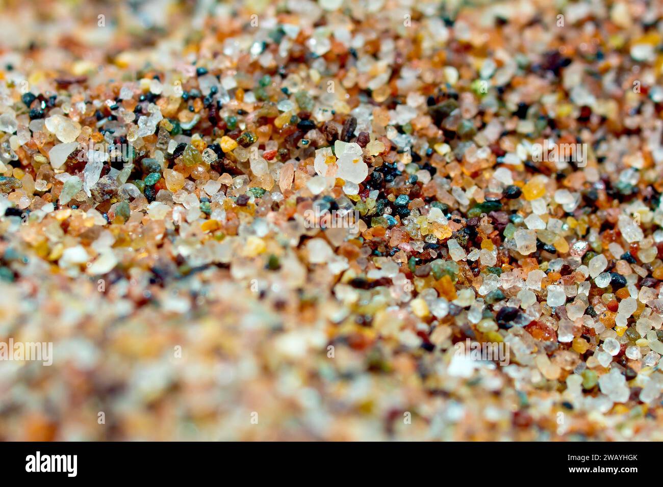 Close up of sand from the beach at Arbroath, Angus, Scotland, showing ...