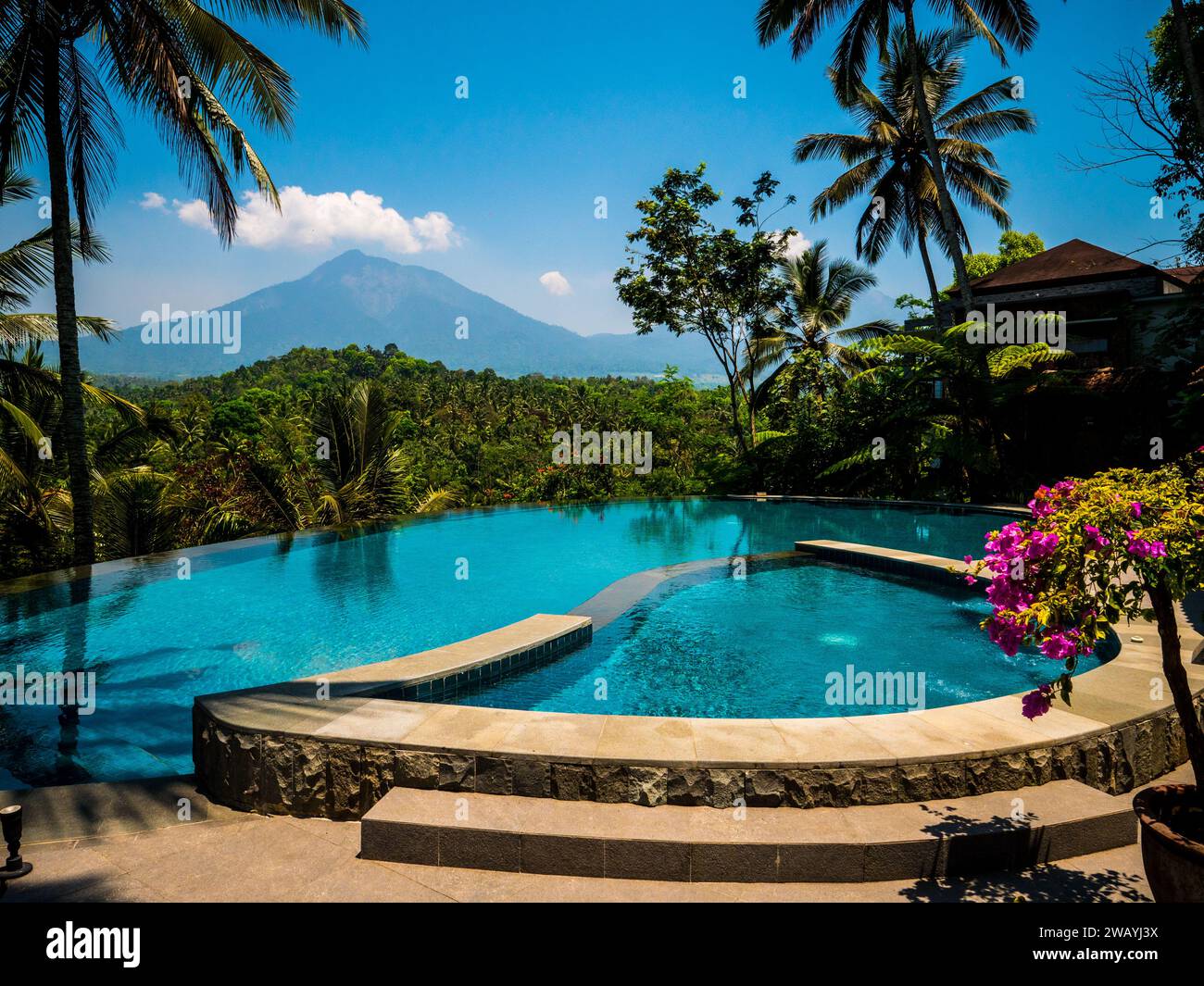 Jungle swimming pool hi-res stock photography and images - Alamy
