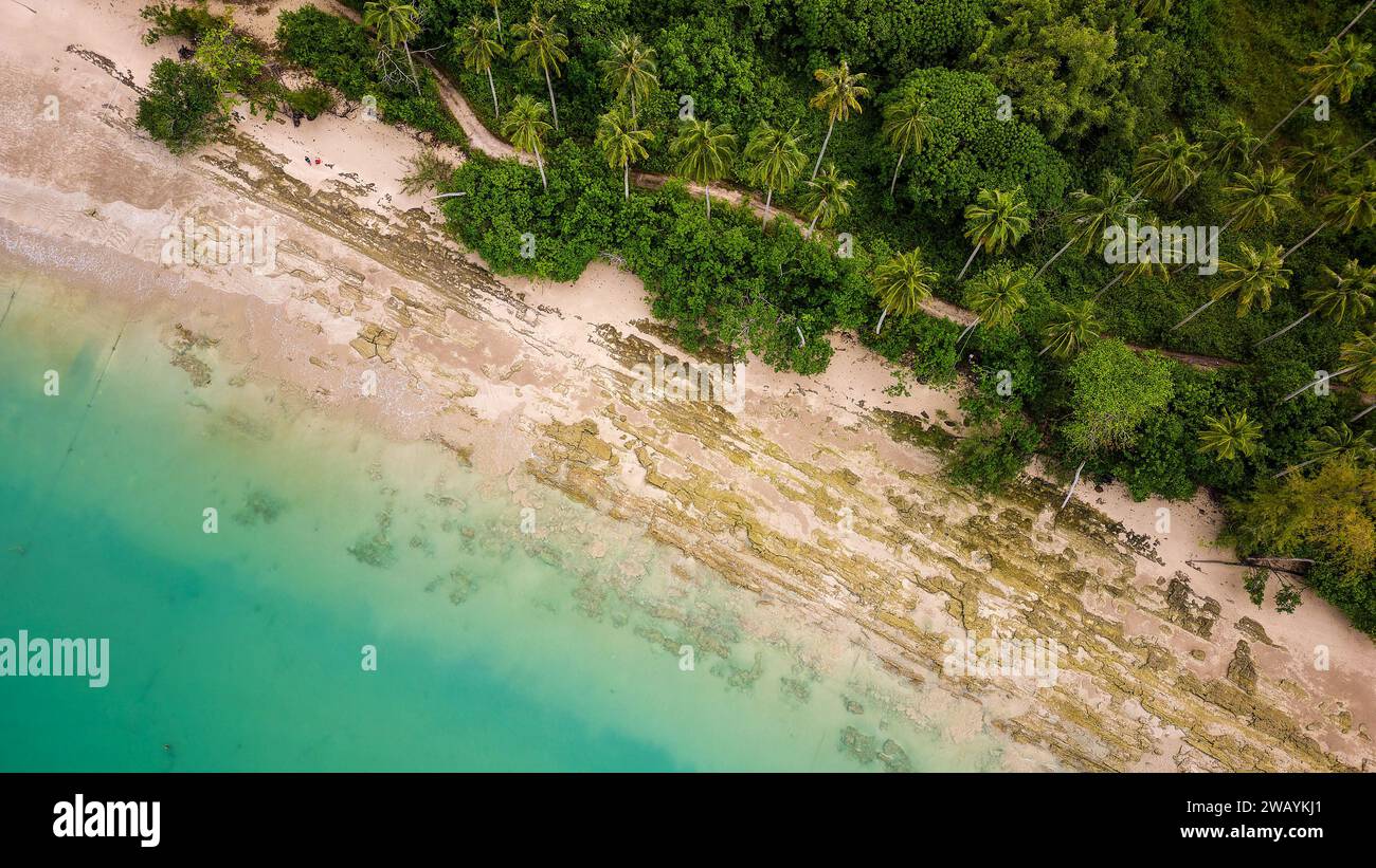Top down palm trees hi-res stock photography and images - Alamy