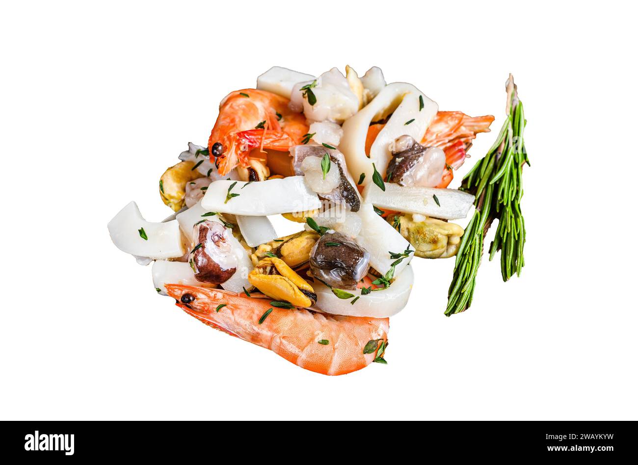 Raw mix seafood cocktail with shrimps, prawns, mussels, squids and ...