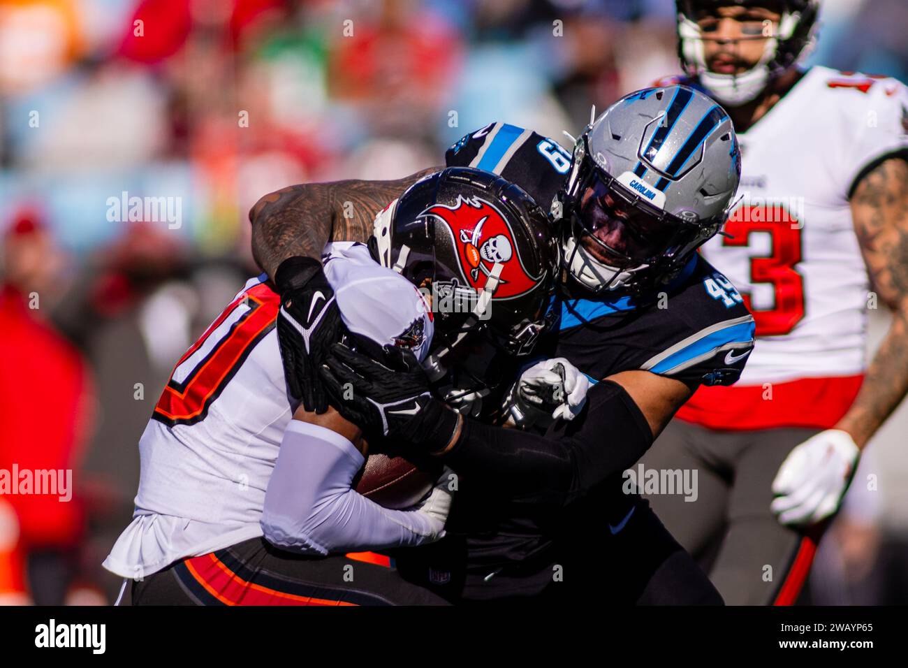 2024 0096 jpg hi-res stock photography and images - Alamy