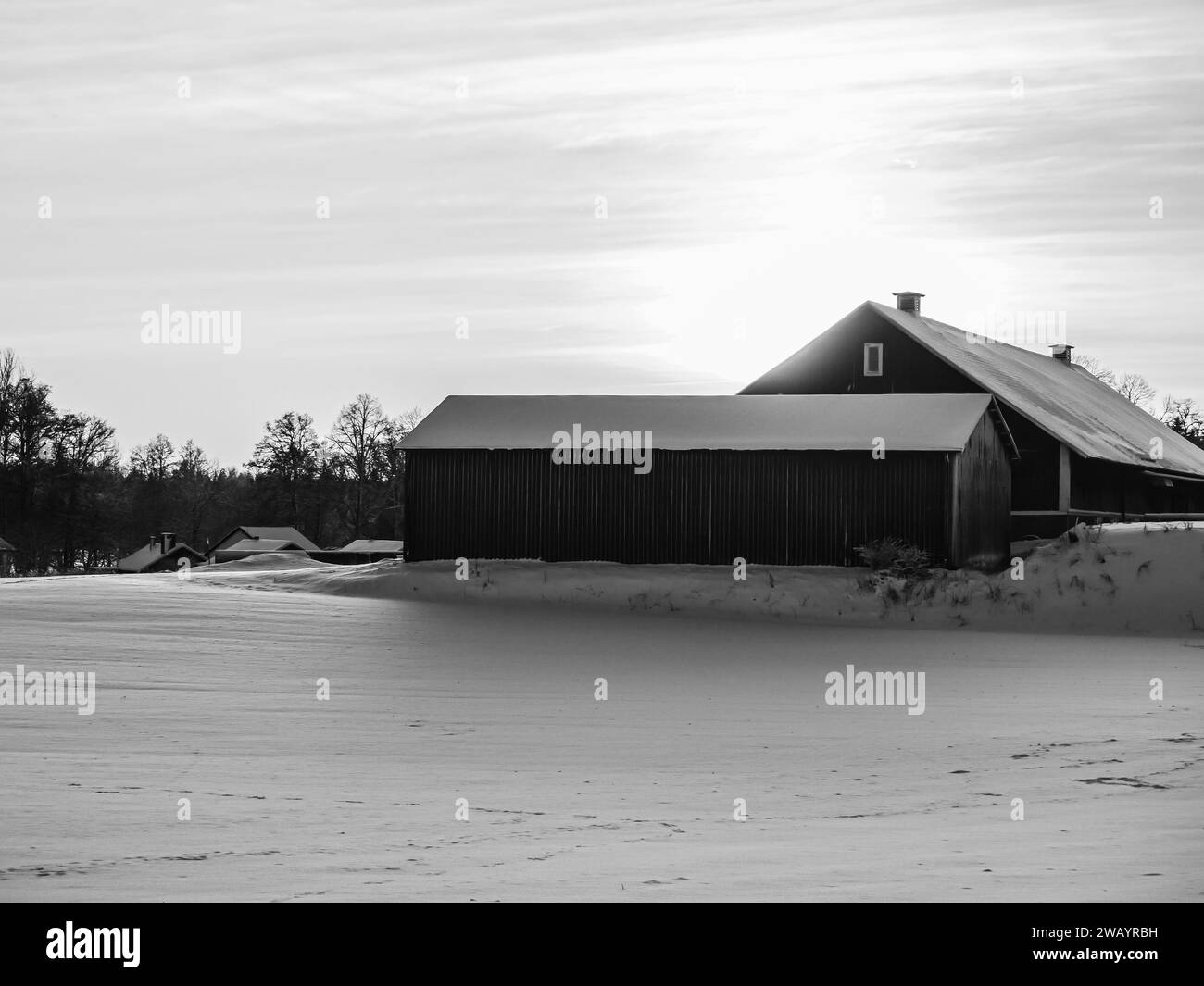 Tree buildings outdoor view Black and White Stock Photos & Images - Alamy