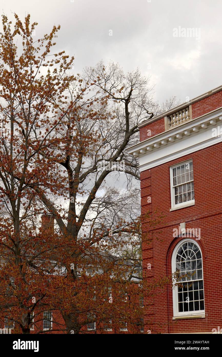 Autumn Color at a University Campus Stock Photo - Alamy