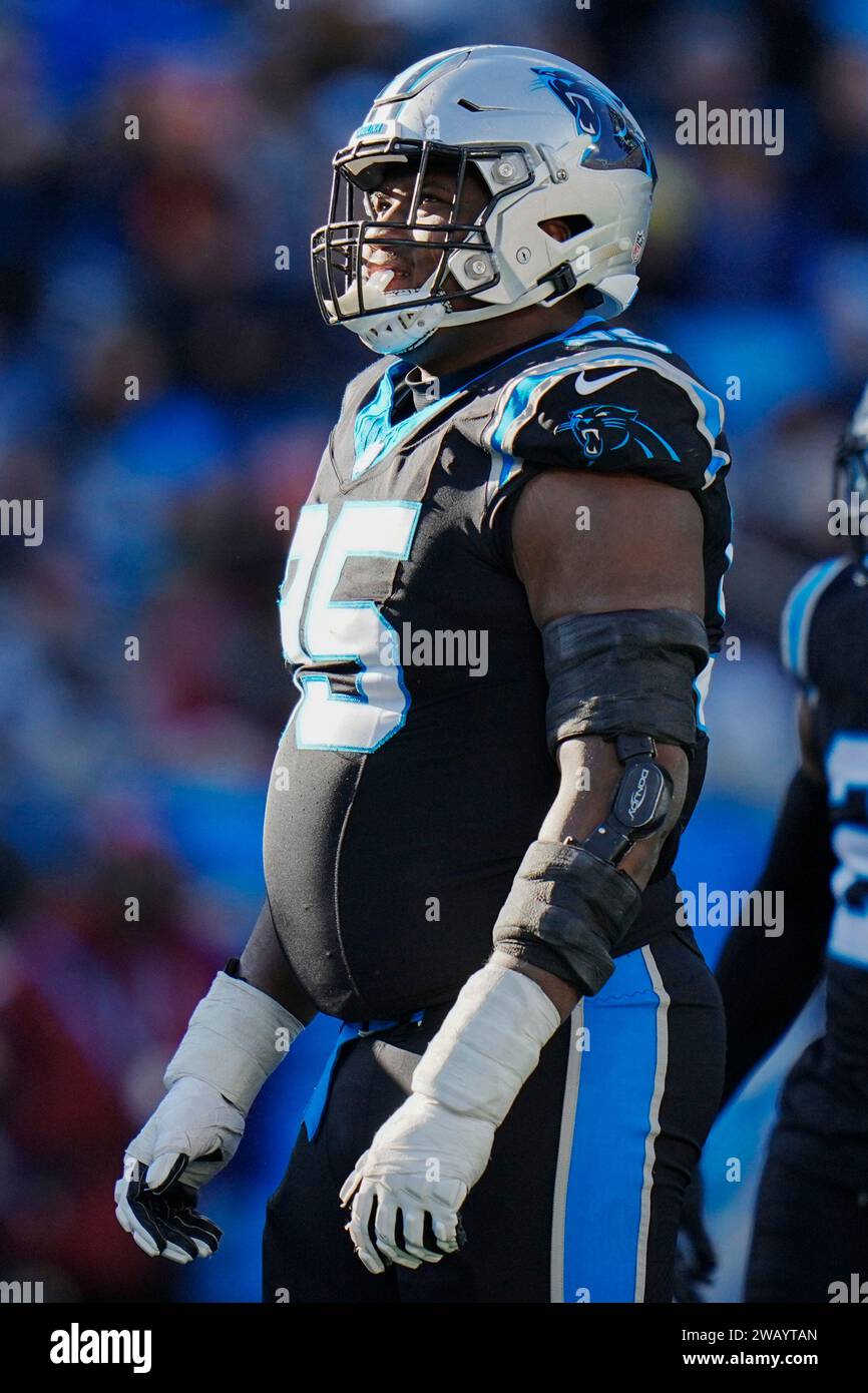 Carolina Panthers defensive tackle Derrick Brown (95) stands on the ...