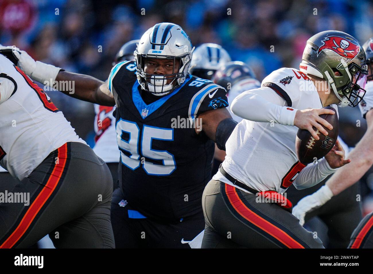 Carolina Panthers defensive tackle Derrick Brown (95) chases Tampa Bay ...