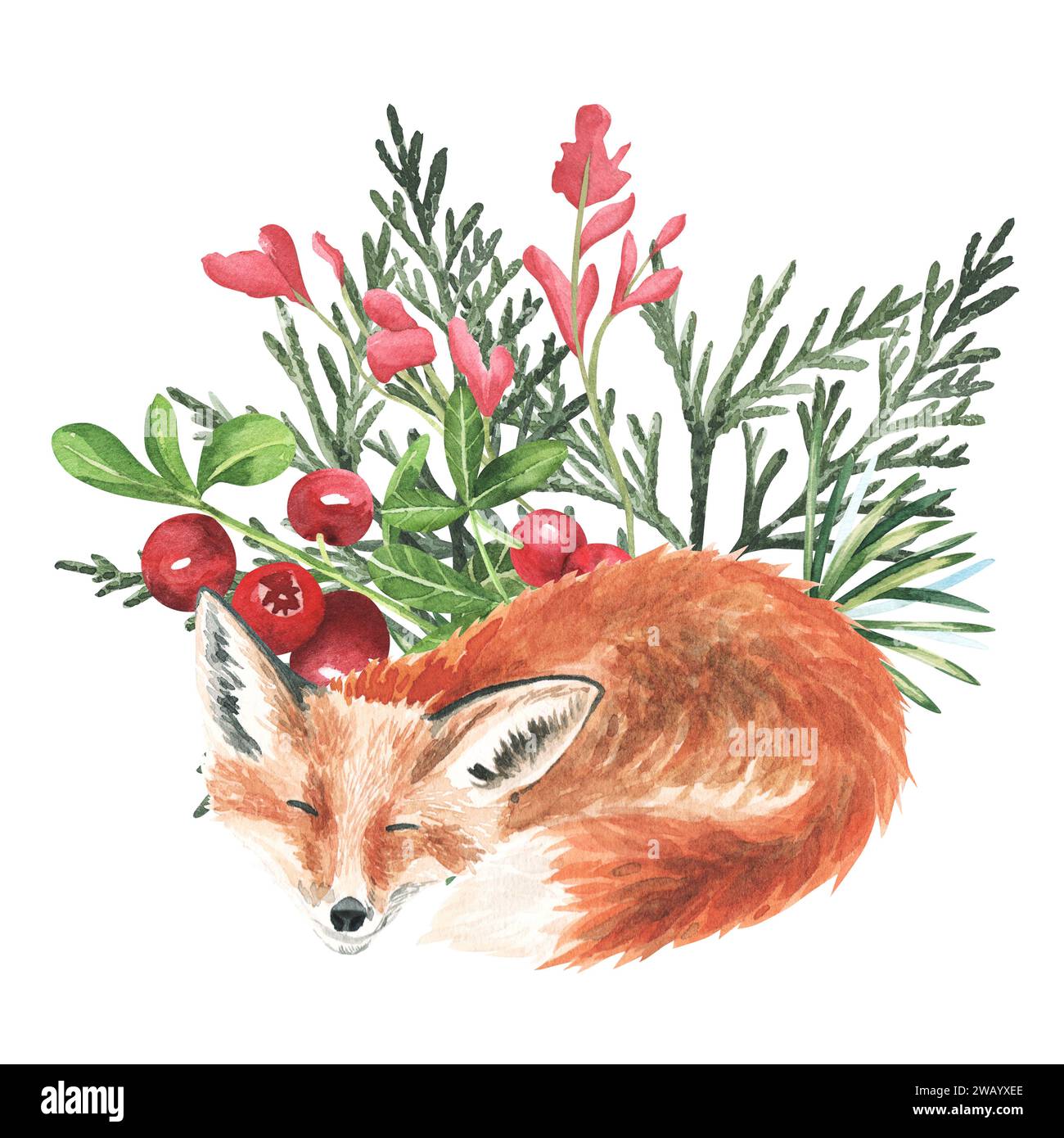 Watercolor hand drawn autumn forest illustrations isolated on white ...