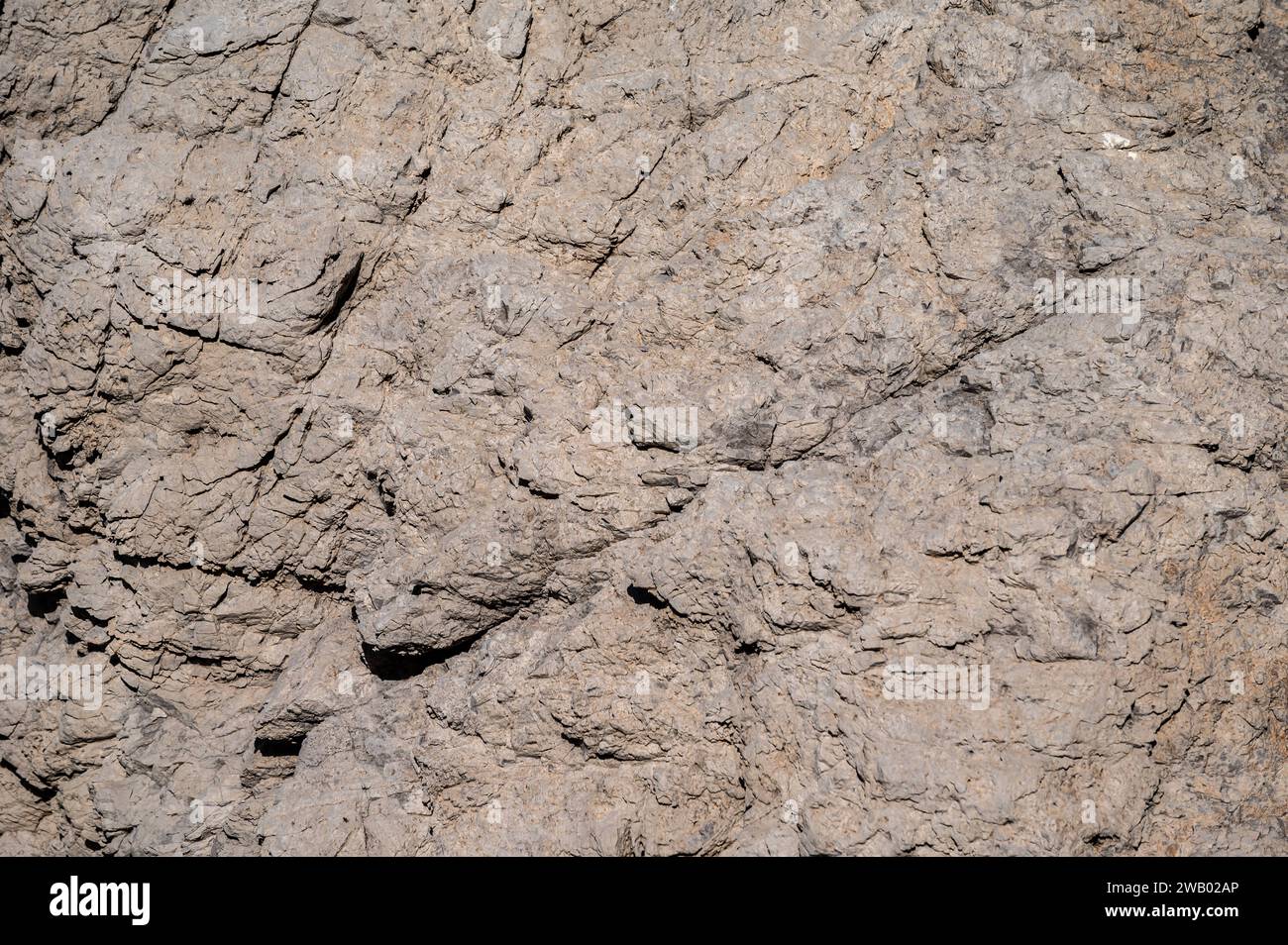 Rough texture of a natural rock at Isola delle Femmine, Sicily, Italy ...