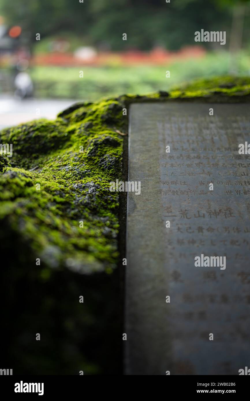 Plaque moss hi-res stock photography and images - Alamy