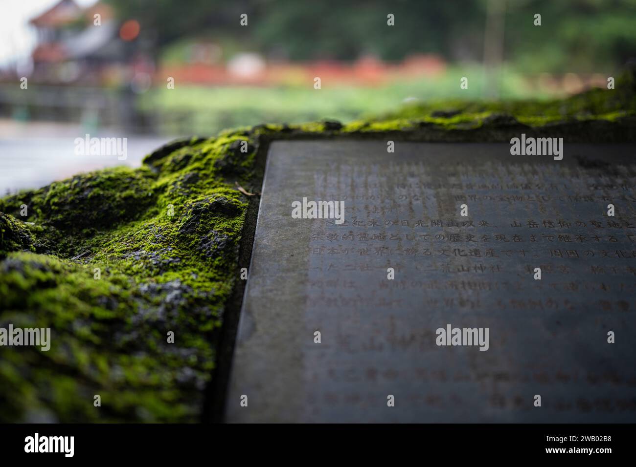 Moss covered tablet hi-res stock photography and images - Alamy