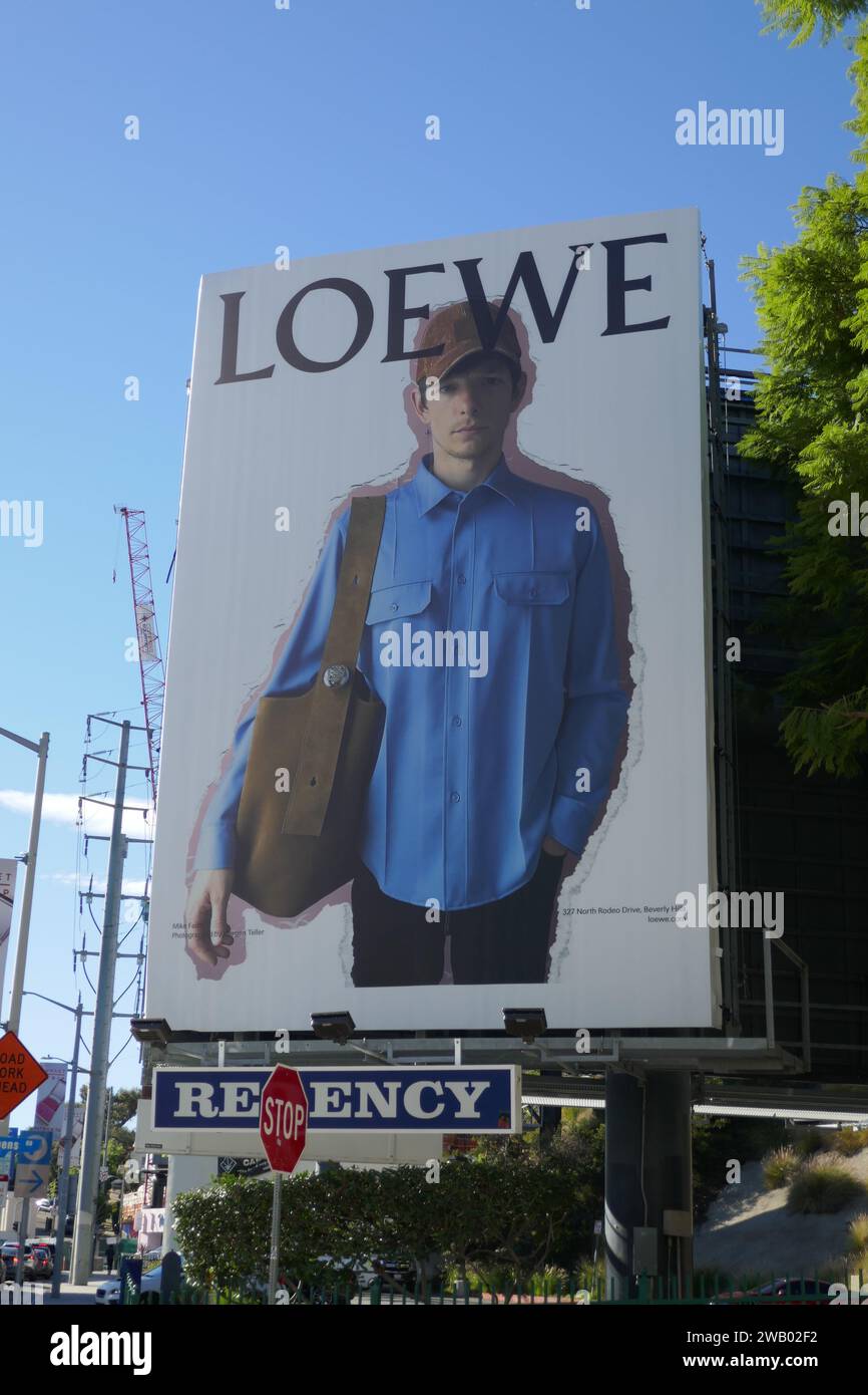 Los Angeles, California, USA 4th January 2024 Actor Mike Faust Loewe ...