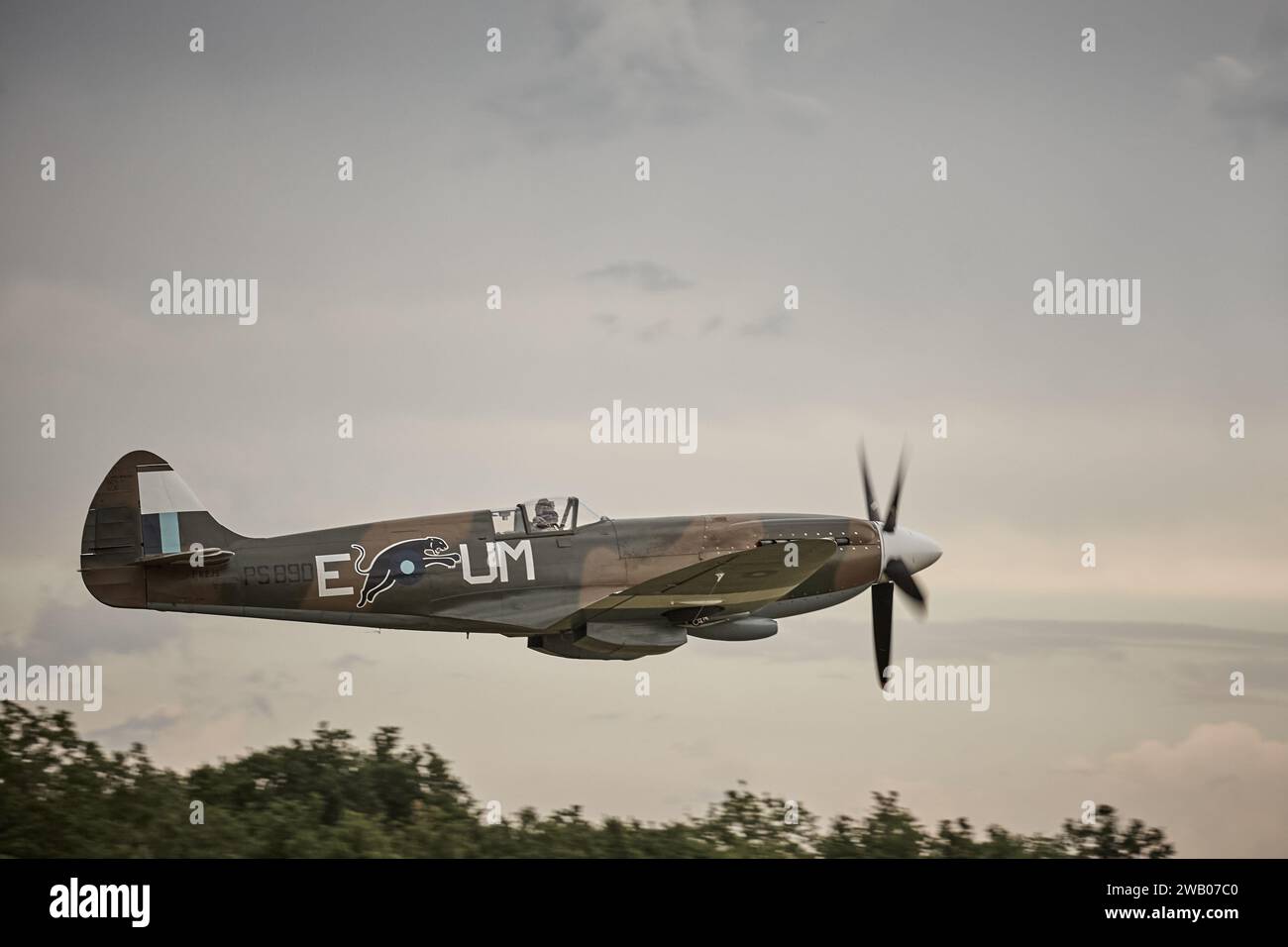 Supermarine Spitfire PR.XIX PS890 (F-AZJS) taking-off during air show ...