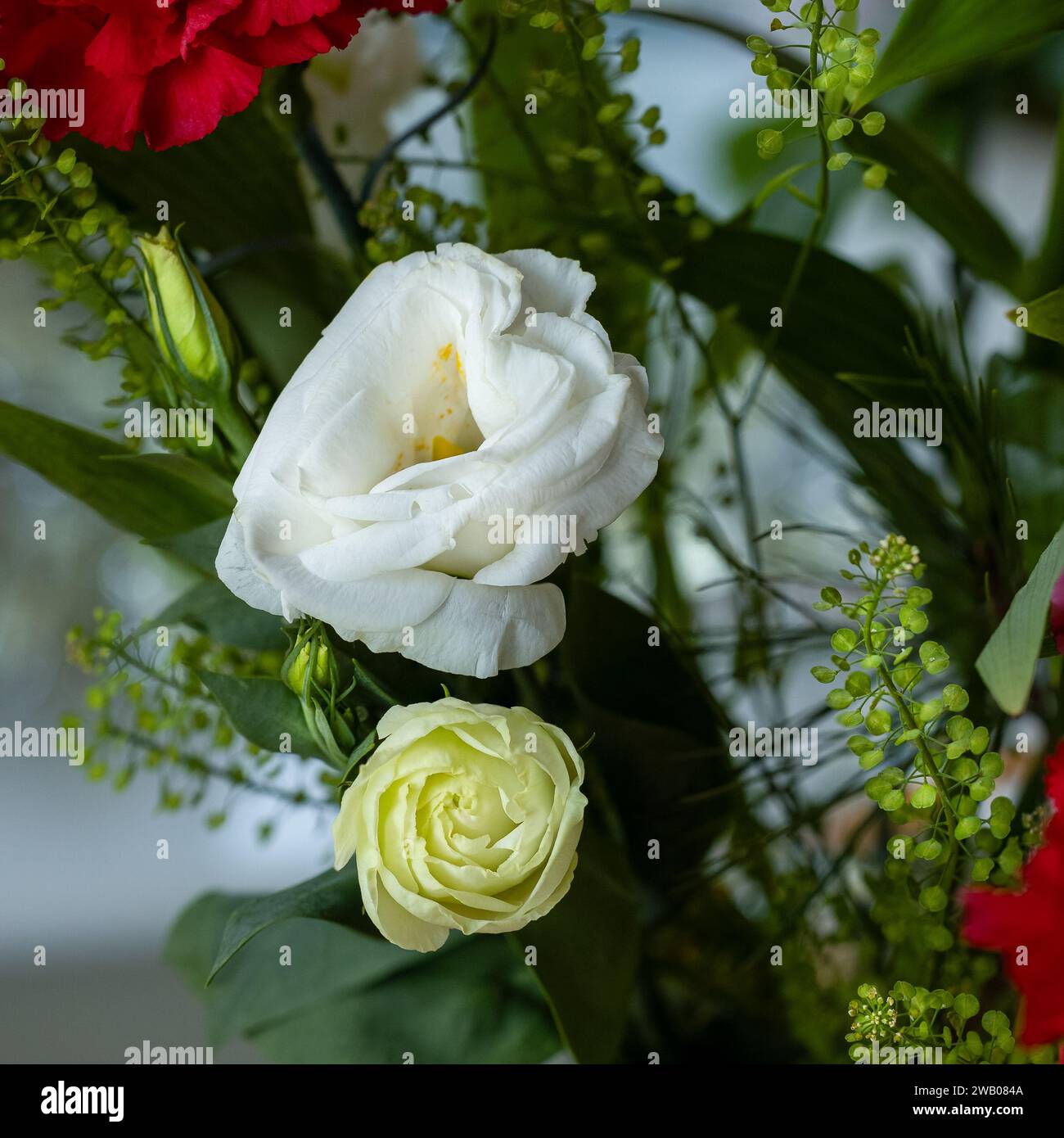 Mixed cut flowers hi-res stock photography and images - Alamy