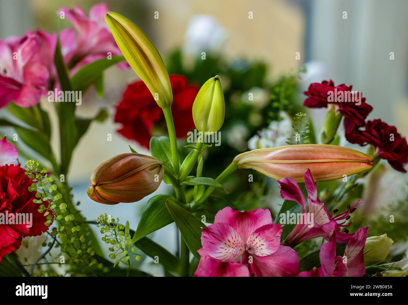 Mixed cut flowers hi-res stock photography and images - Alamy