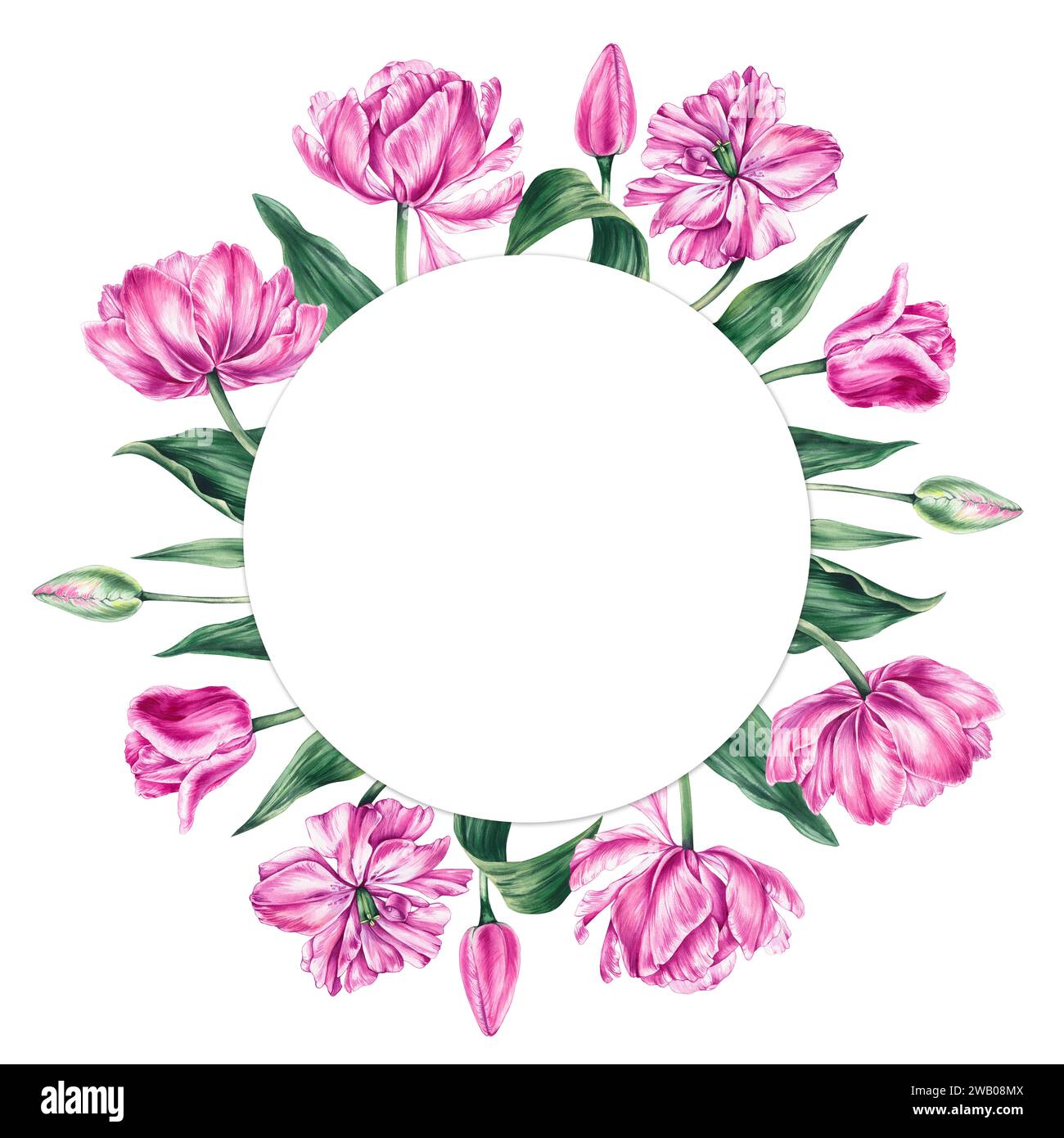 Watercolor pink tulip frame on a white background. Hand drawn tulips ...