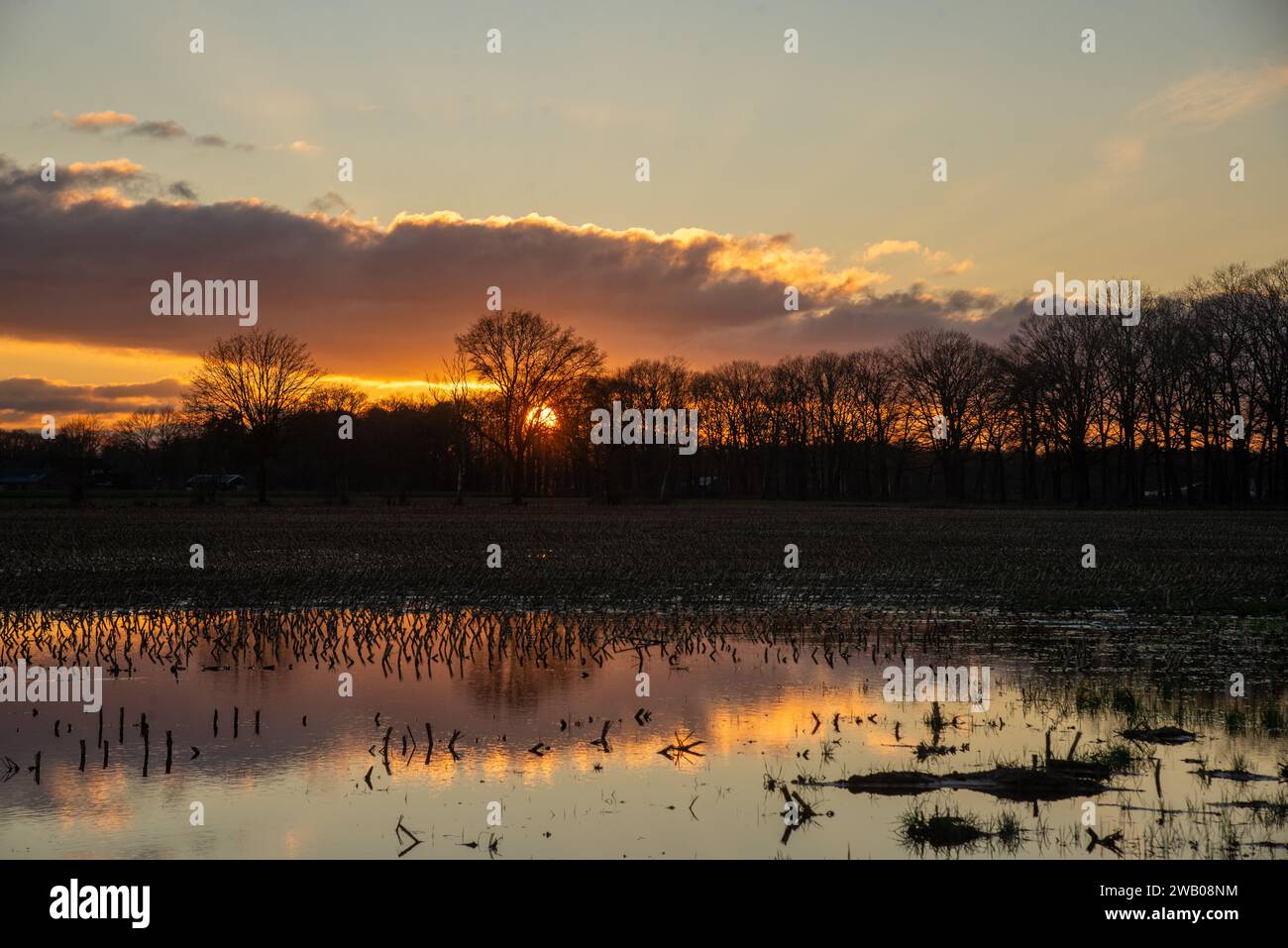 Rural holland landscape hi-res stock photography and images - Alamy