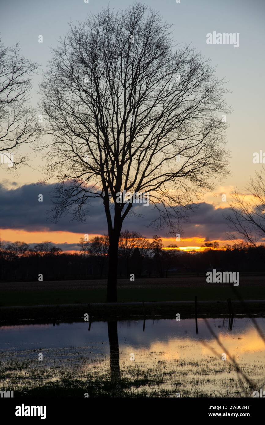 sunset at rural area in Gelderland, Holland Stock Photo - Alamy