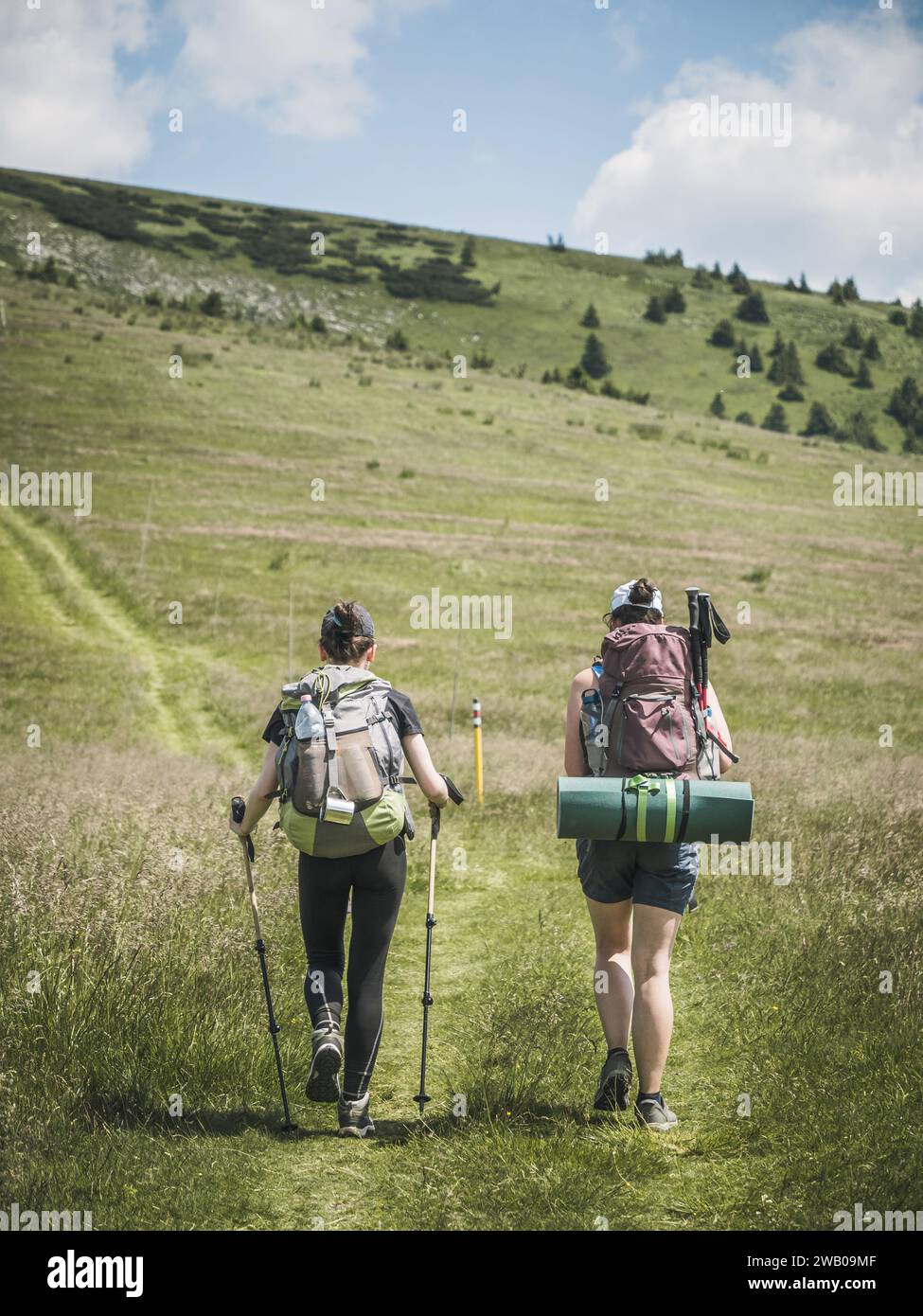 Two young women from behind rear view hiking backpacking trekking in ...