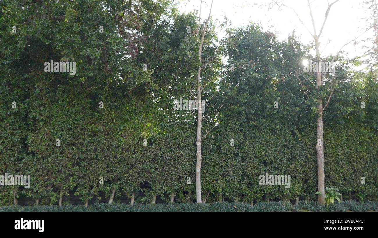 Los Angeles, California, USA 29th December 2023 Actor Macaulay Cullen ...