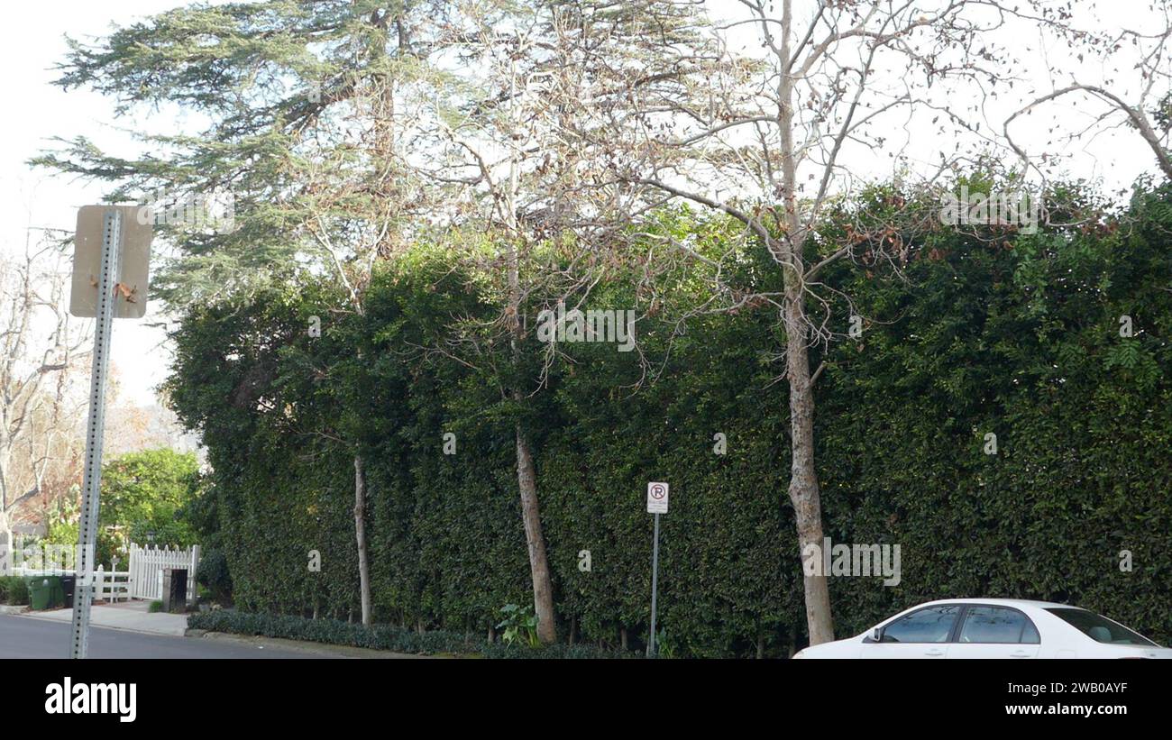 Los Angeles, California, USA 29th December 2023 Actor Macaulay Cullen ...