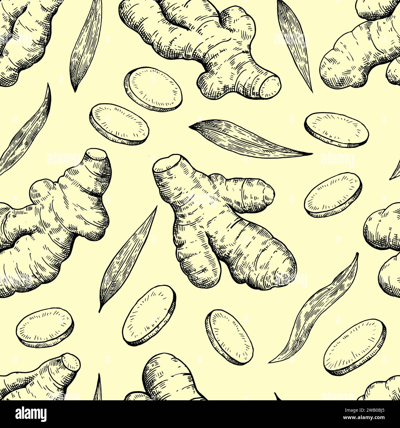 Set of ginger roots in engraving style. Black and white ink illustration. Vector print Stock ...