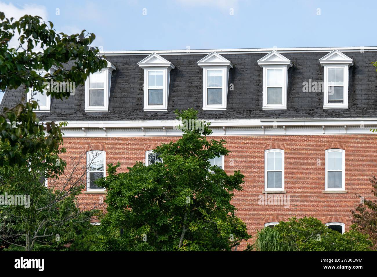 The exterior wall of a tall brown brick building with multiple rows of ...