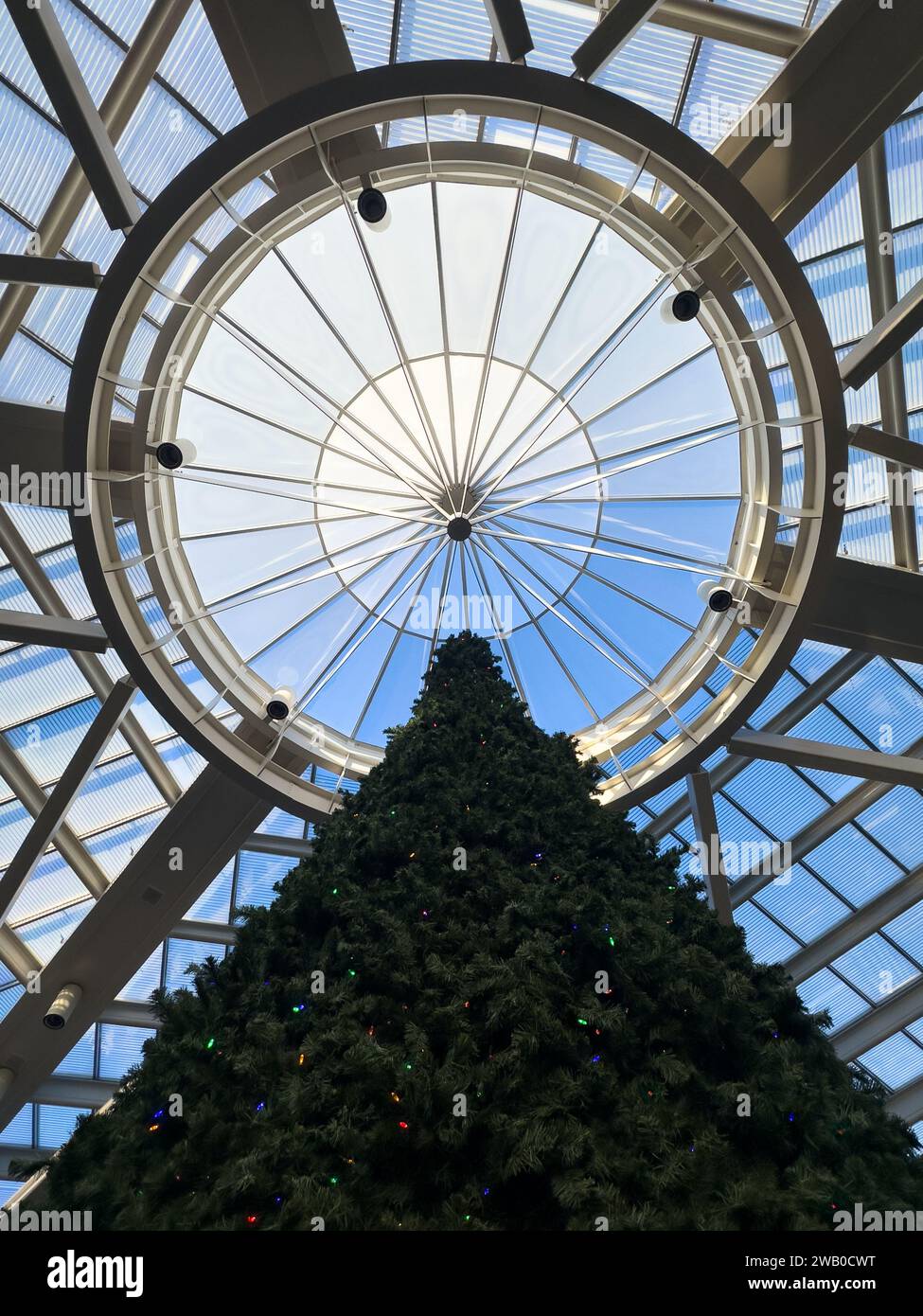 Circular roof architecture structure hi-res stock photography and ...