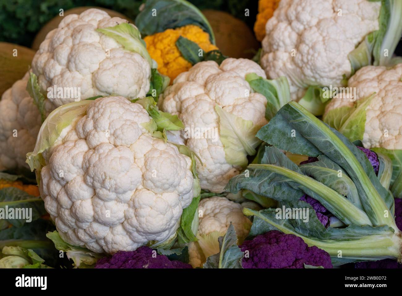 Organic cauliflower with white textured florets and cheddar orange ...
