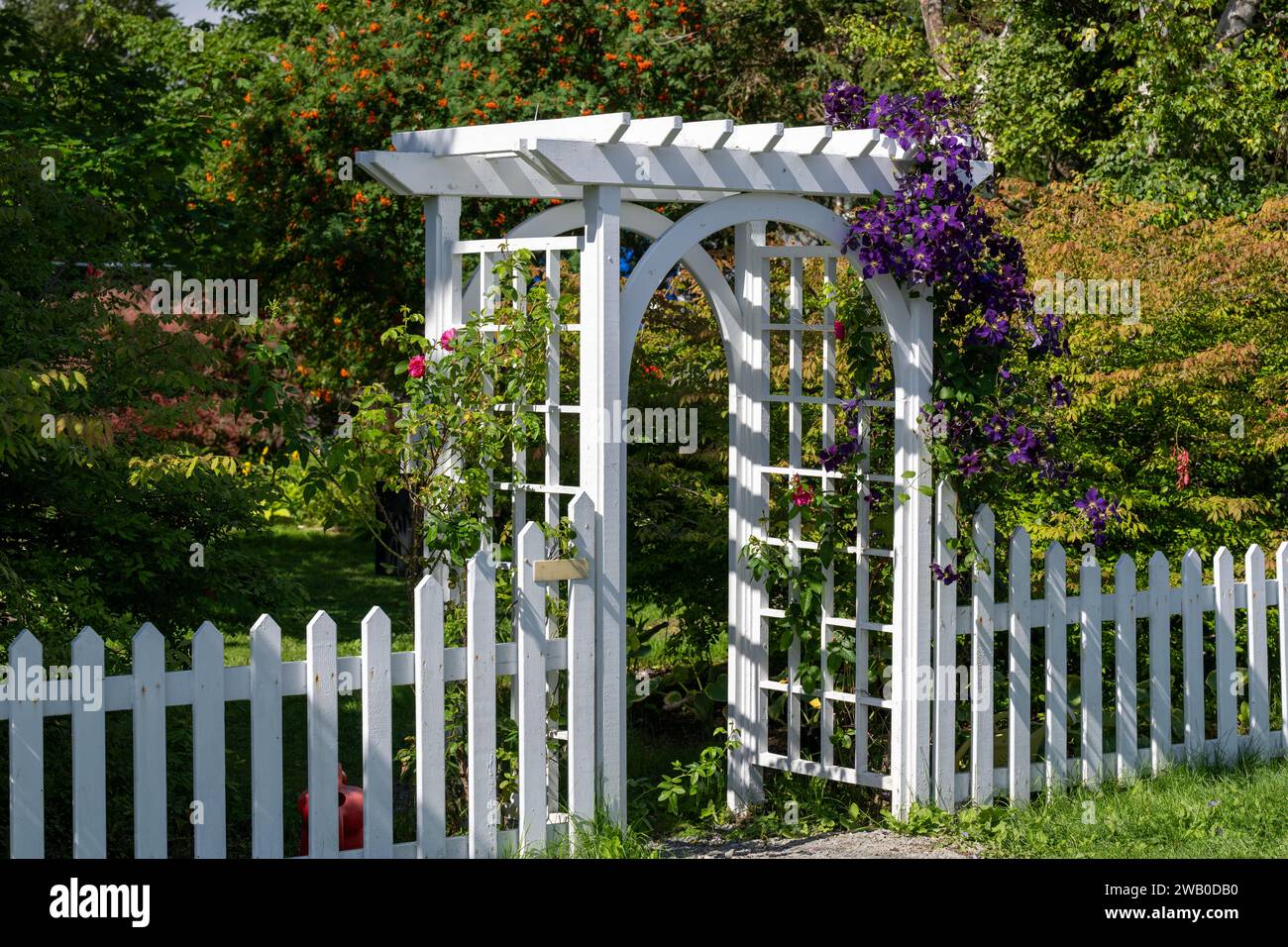 Garden Arch With White Picket Fence Making Snazzy Re Purposed Garden