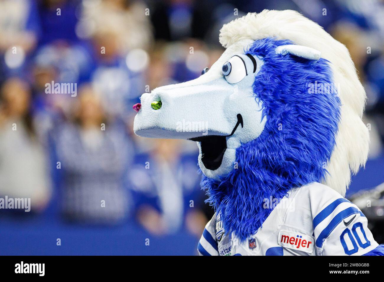 Indianapolis Colts 2024 Logo