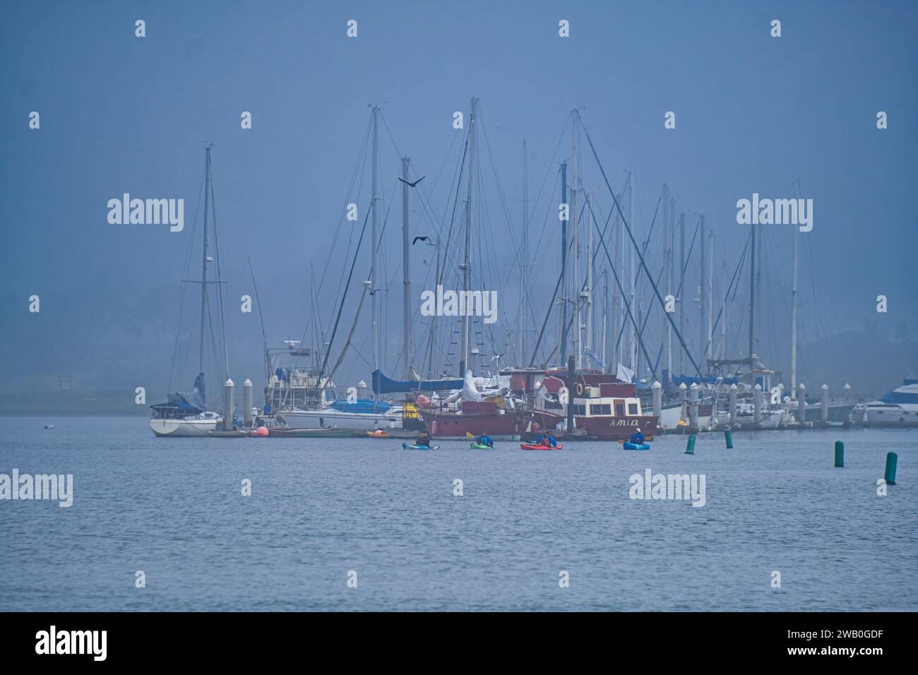 Monterey Bay Canyon is a playground for ocean creatures! Observe blue ...