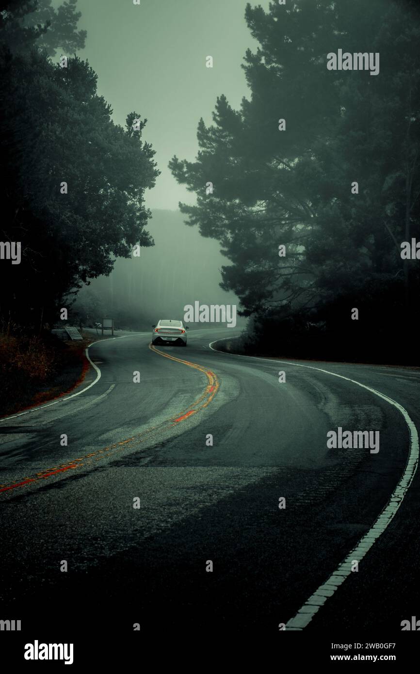 The debut of 17-Mile Drive actually predates our Centennial by four ...