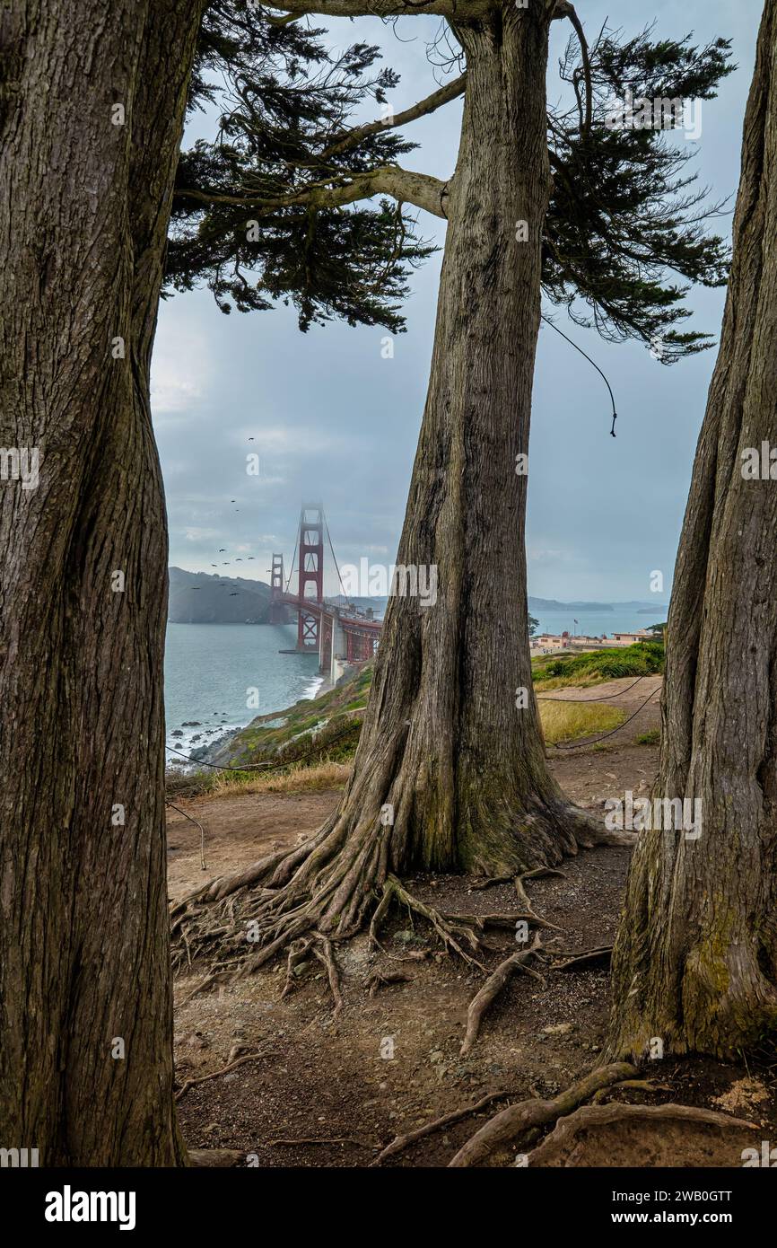 The Golden Gate Bridge was the longest suspension bridge in the world ...